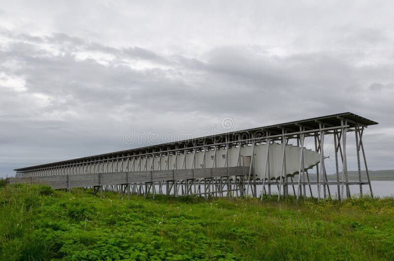 199 Vardo Photos - Free & Royalty-Free Stock Photos from Dreamstime