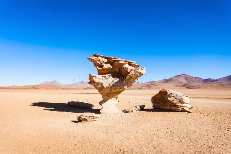 Steinbaum, Altiplano stockbild. Bild von senke, tourismus - 68144281