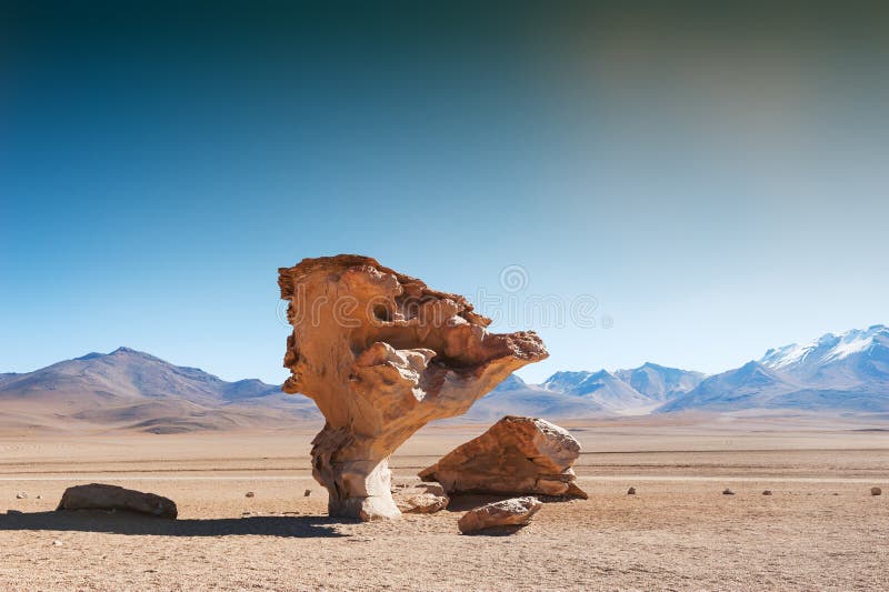 Steinbaum Arbol De Piedra, Altiplano, Bolivien Stockbild - Bild von ...
