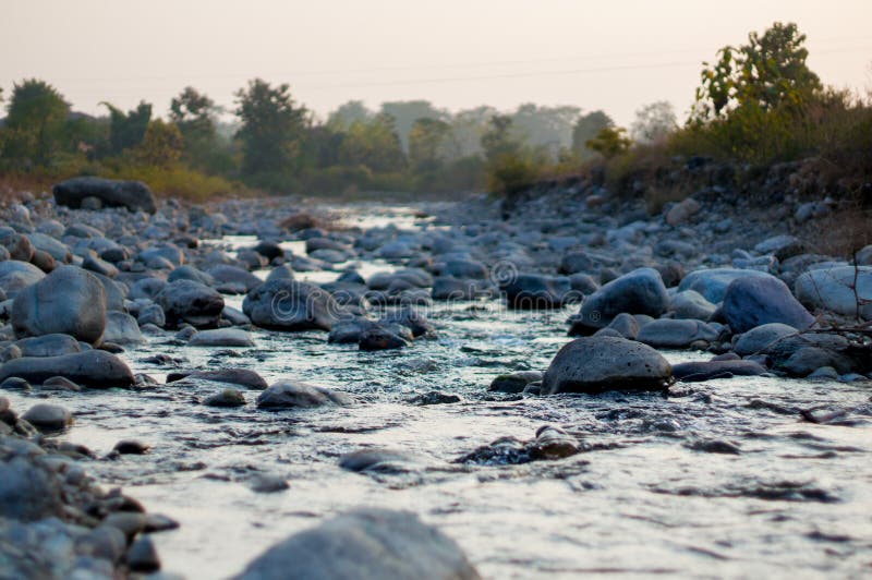 Steine Auf Einem Flussbett Mit Bäumen Stockfoto - Bild von ferien ...