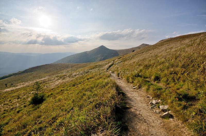 Steiniger Weg im Wald stockbild. Bild von laub, koniferen - 34840011