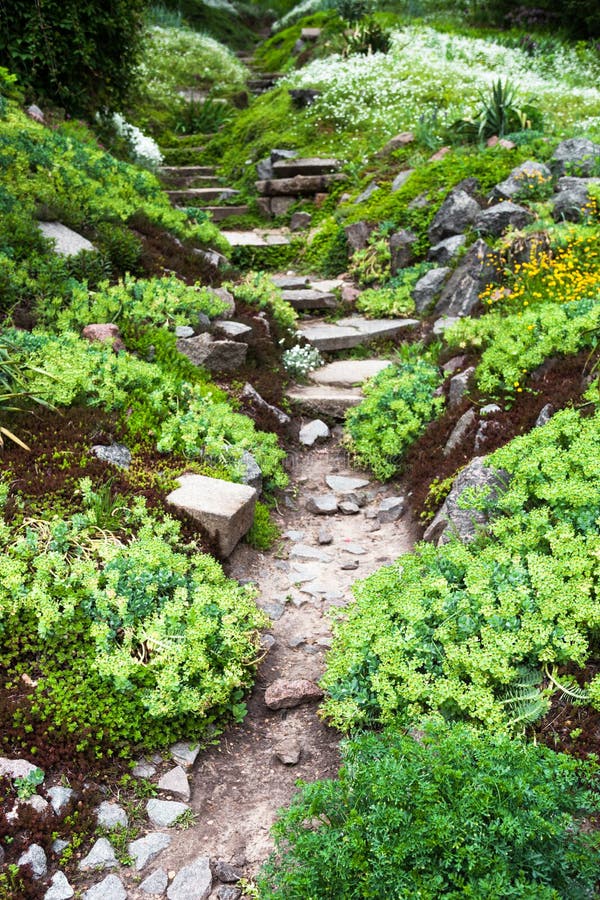 Steiniger Weg Und Treppe Im Grünen Garten Stockfoto - Bild von felsen ...