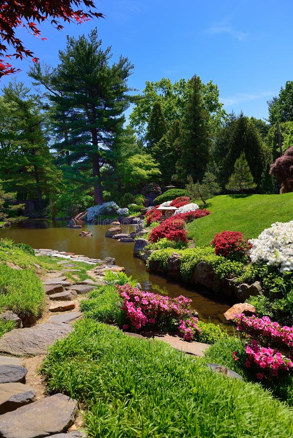 Steinweg Und Blühende Büsche Stockfoto - Bild von gehwege, entspannen ...