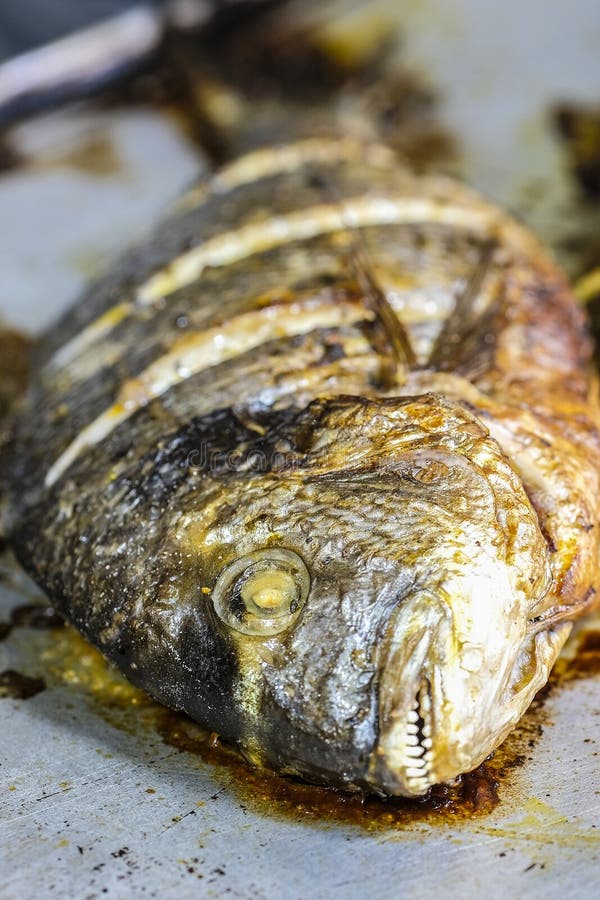 Steka fisken arkivfoto. Bild av lunch, grön, bild, matlagning - 100379992