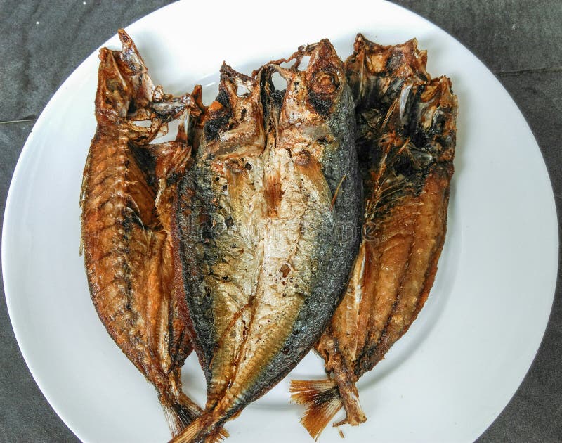 Stekt fisk med svartpeppar arkivfoto. Bild av thai, fisk - 54934680