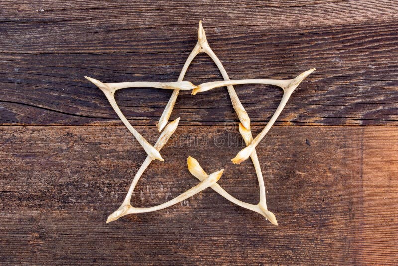 Stella rustica delle ossa immagine stock. Immagine di rustico - 242884293