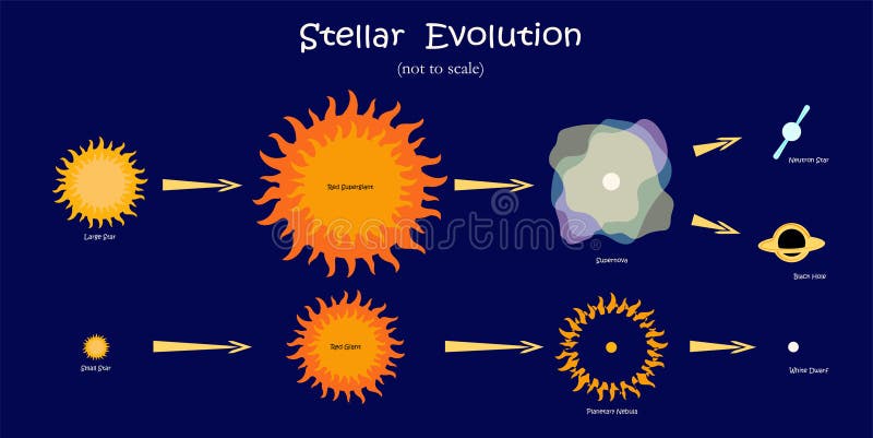 Stellar Evolution Step by Step on Dark Blue Background Stock Vector ...