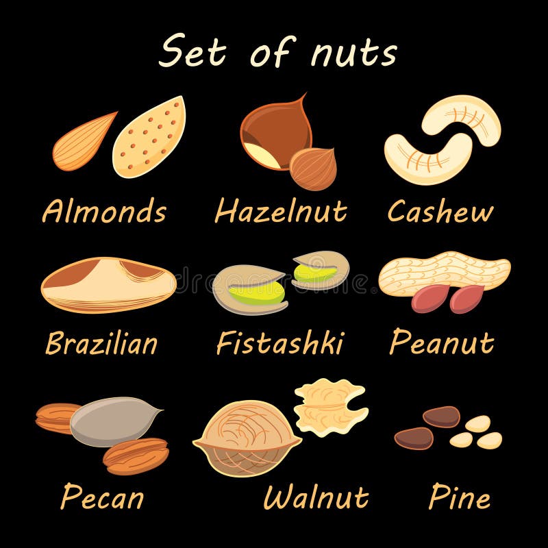 Verschiedene Nussarten Braune Aufkleber Eingestellt Vektor Abbildung ...