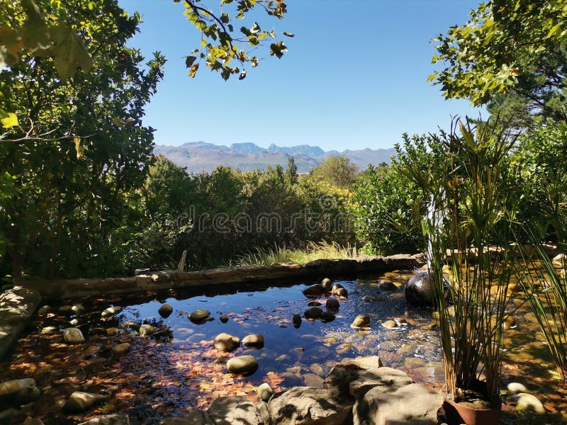 Stellenbosch river view stock photo. Image of park, lake - 254351010