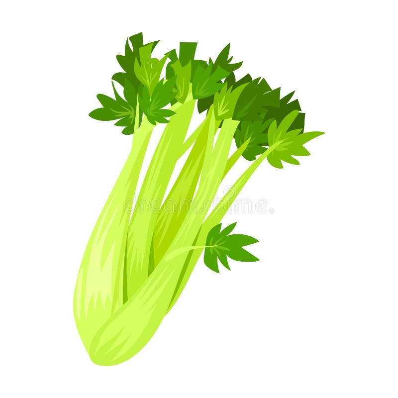 Celery Background Stock Illustrations – 3,426 Celery Background Stock ...