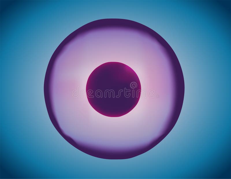 Stem Cell , Artificial Insemination Stock Illustration - Illustration ...