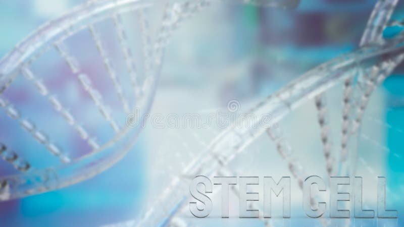 The Stem Cell Text on Dna Background for Sci or Medical Concept 3d ...