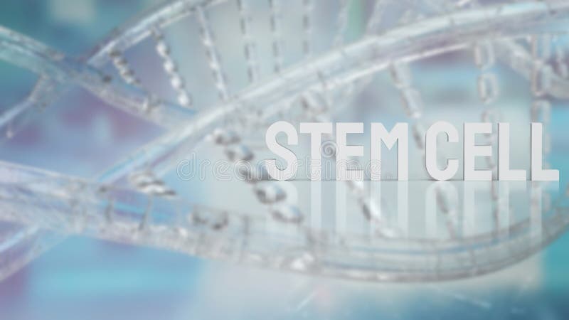 The Stem Cell Text on Dna Background for Sci or Medical Concept 3d ...