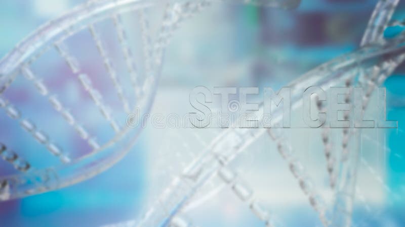 The Stem Cell Text on Dna Background for Sci or Medical Concept 3d ...