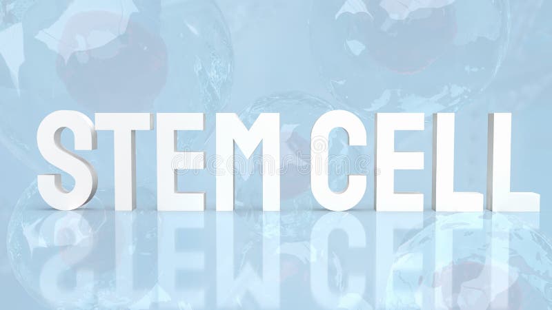 Stem Cell Text on Sci Background 3d Rendering Stock Illustration ...