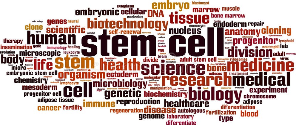 Stem cell word cloud stock vector. Illustration of blood - 278559955
