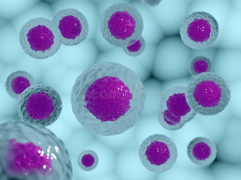 Stem cells stock illustration. Illustration of biology - 157517282