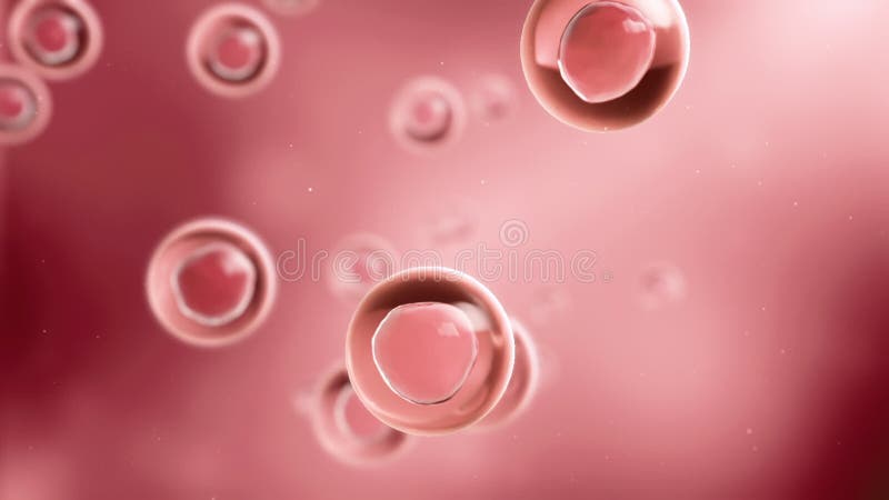 Stem Cells Dividing Under the Microscope. Cell Division or Cloning ...
