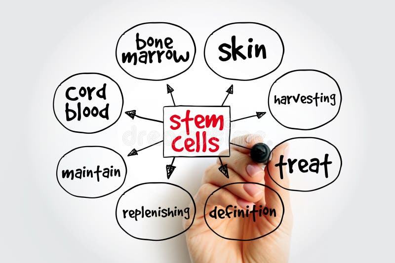 Marrow Map Silkson Stock Photos - Free & Royalty-Free Stock Photos from ...