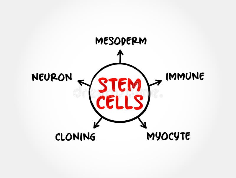 Different Types of Exhibitions Mind Map Text Concept for Presentations ...
