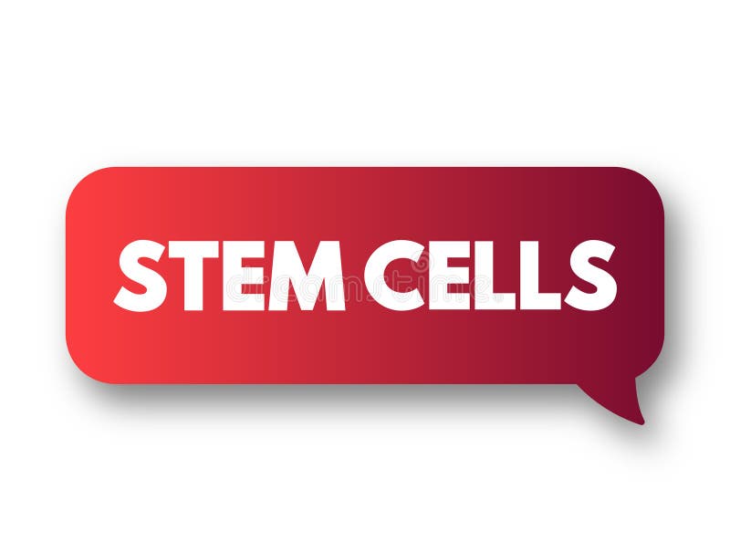 Stem Cells - Special Human Cells that are Able To Develop into Many ...