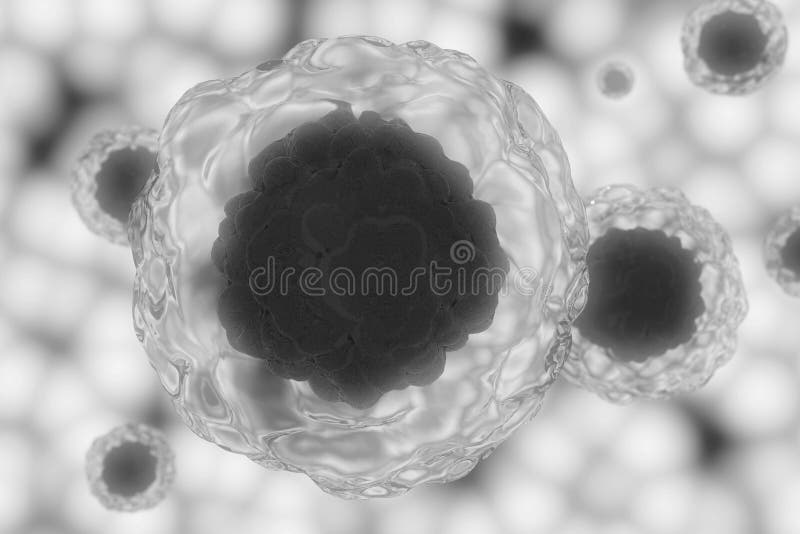 Stem Cells Under a Microscope Stock Illustration - Illustration of ...
