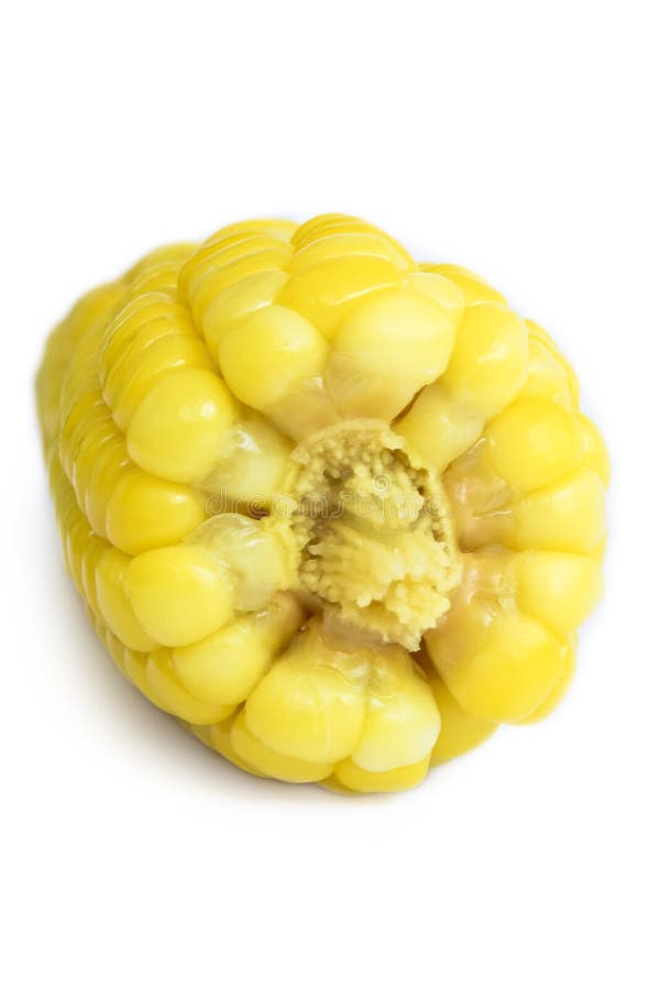 Stem of corn stock photo. Image of fresh, front, view - 56218532