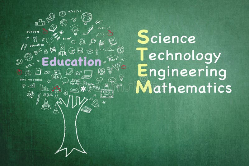 STEM Education Tree for Science Technology Engineering Mathematics ...