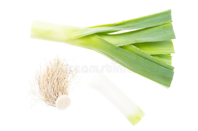 Stem of Fresh Leek with Root. Photo Stock Image - Image of healthy ...