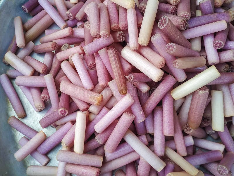 The stem of lotus cut stock image. Image of asian, fresh - 148030855