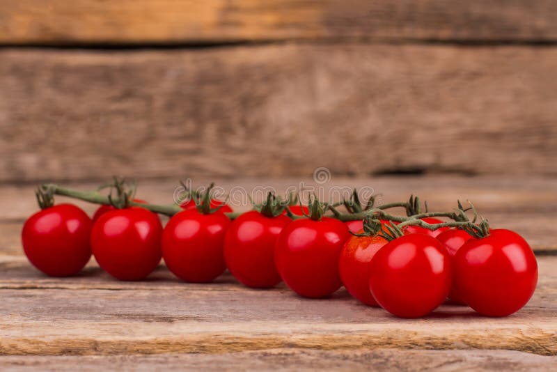 Stem of Red Shiny Tomatoes. Stock Image - Image of agriculture ...