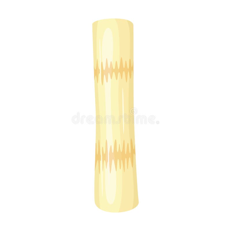 Stem of Sugar Cane Vector Icon.Cartoon Vector Icon Isolated on White ...