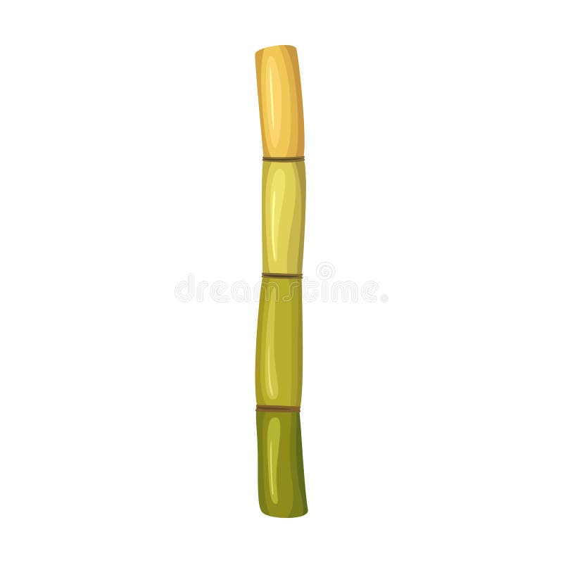 Stem of Sugar Cane Vector Icon.Cartoon Vector Icon Isolated on White ...