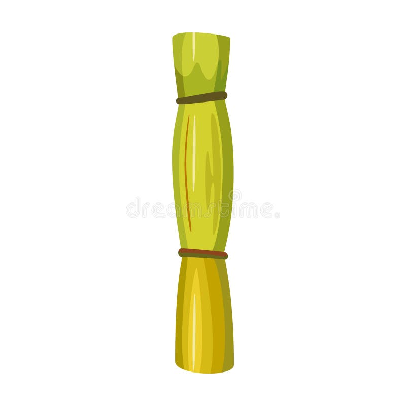 Stem of Sugar Cane Vector Icon.Cartoon Vector Icon Isolated on White ...