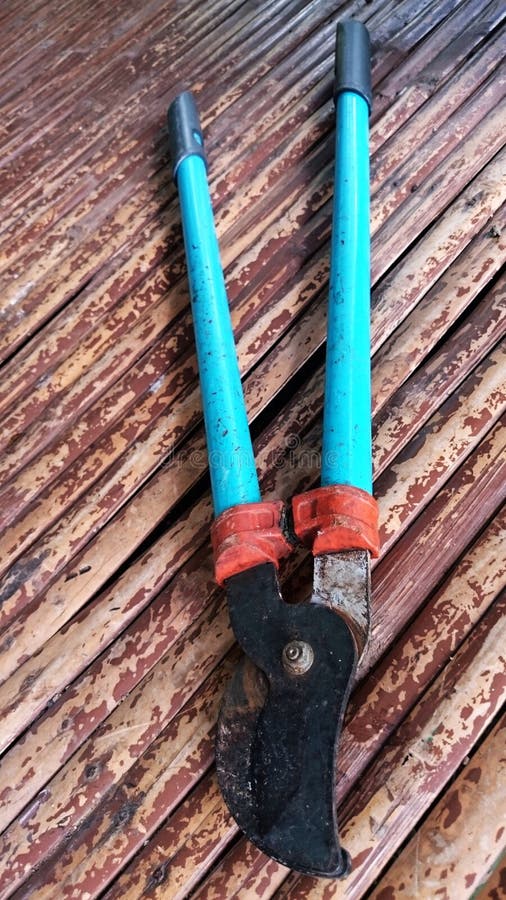 Stem and twig cutter stock image. Image of shrubs, cutter - 56988093