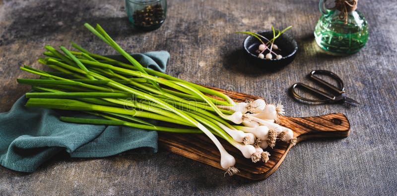 Stems of Fresh Sweet Garleek on a Cloth on the Table Web Banner Stock ...