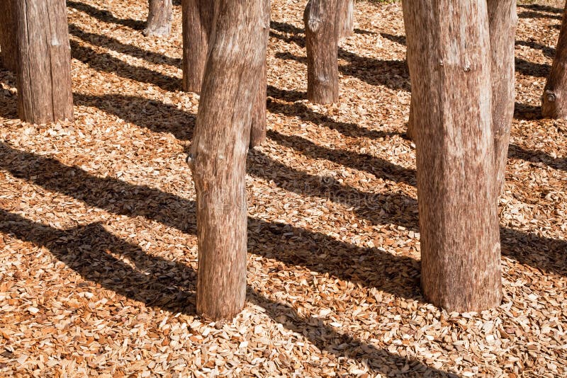Mulch background stock photo. Image of groundskeeping, outdoors - 755182