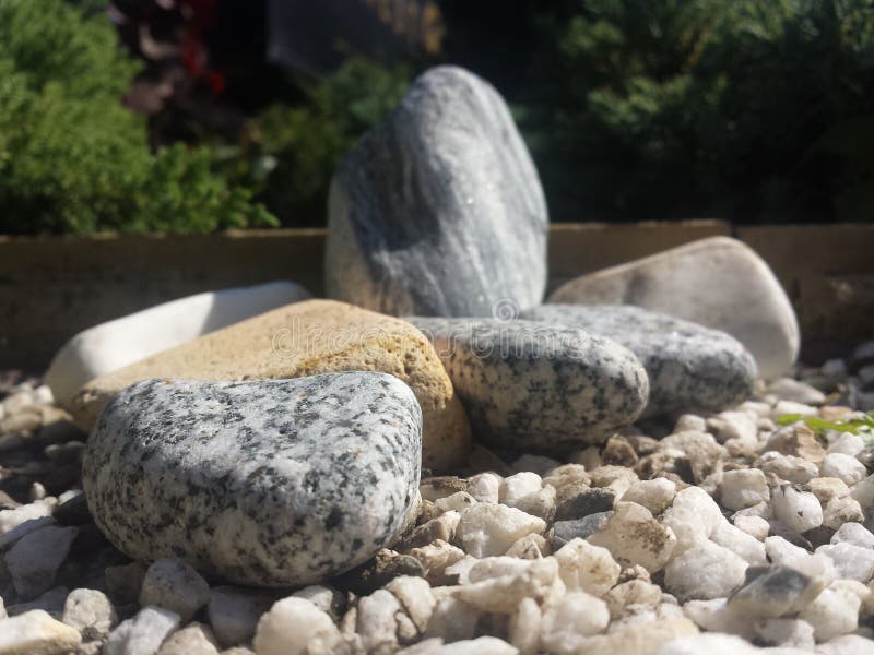 Stenar arkivfoto. Bild av soligt, stenar, strand - 44669786