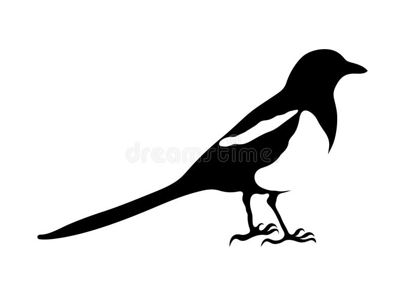 Stencil, Black and White Illustration of a Magpie Stock Vector ...