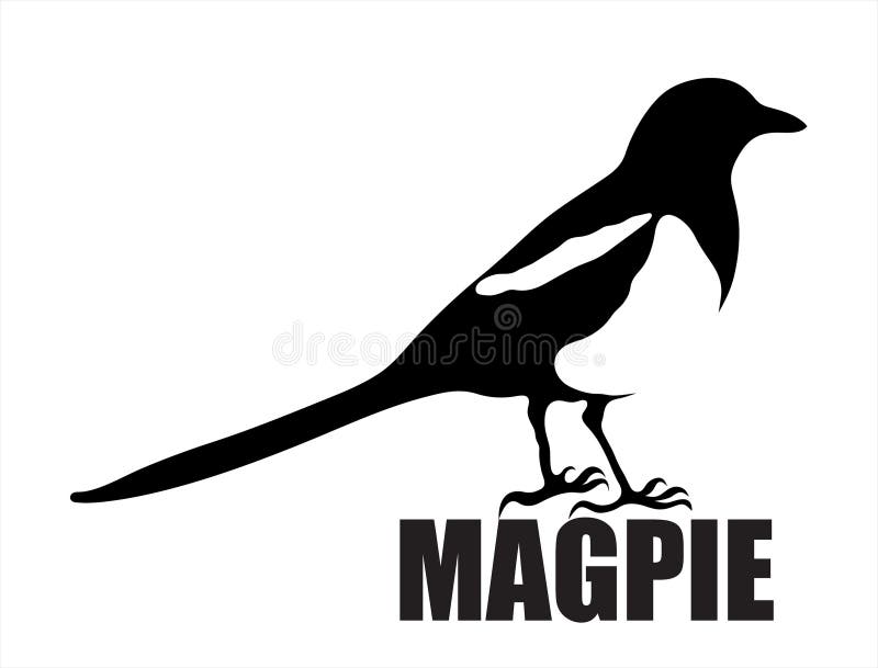 Magpie Line Drawing Stock Illustrations – 148 Magpie Line Drawing Stock ...