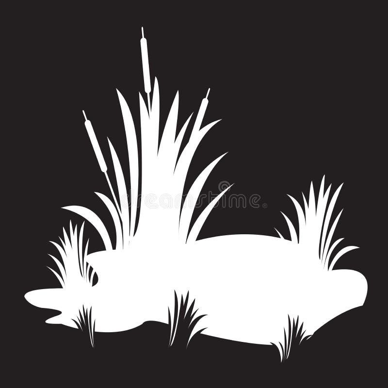 Botany Mud Stock Illustrations – 228 Botany Mud Stock Illustrations ...