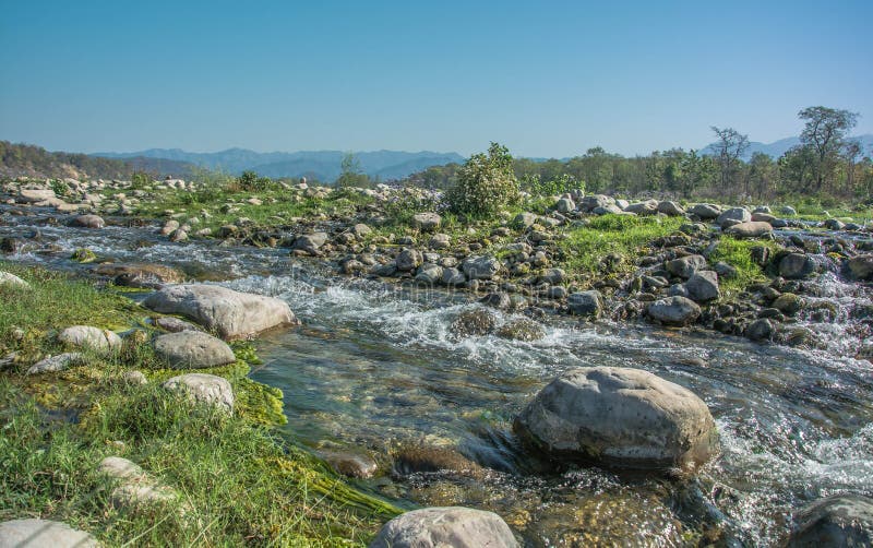 Stenen in rivier stock foto. Image of licht, ochtend - 39913086