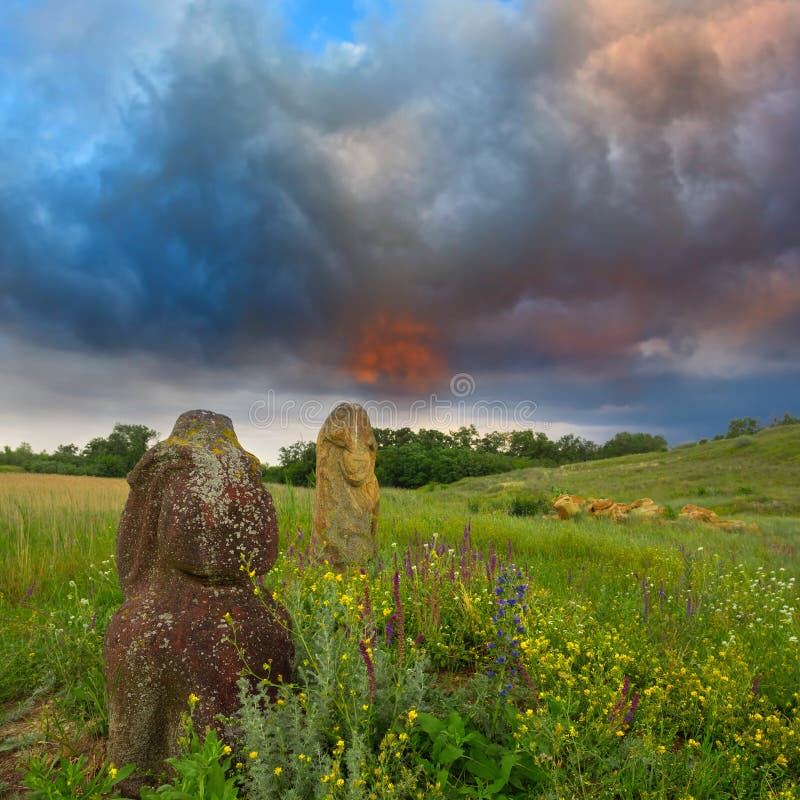 Stenig förebild i en stäpp fotografering för bildbyråer. Bild av ...