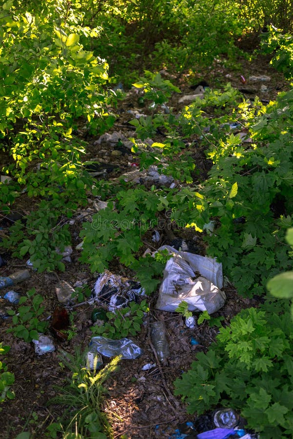 Trash in the trees stock image. Image of trashintrees - 110774613