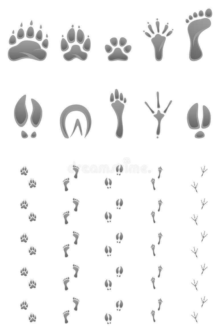 Horse Drawing Step Stock Illustrations – 459 Horse Drawing Step Stock ...