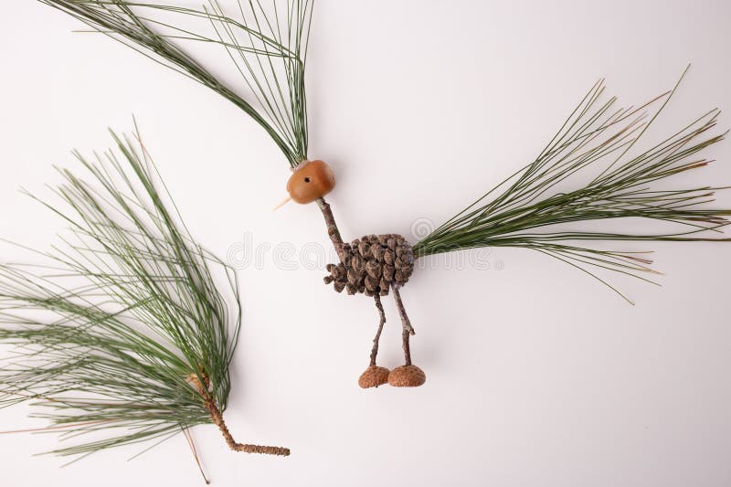 Step in Creative Process, DIY, Handmade Bird Crafted from Pine Cones ...