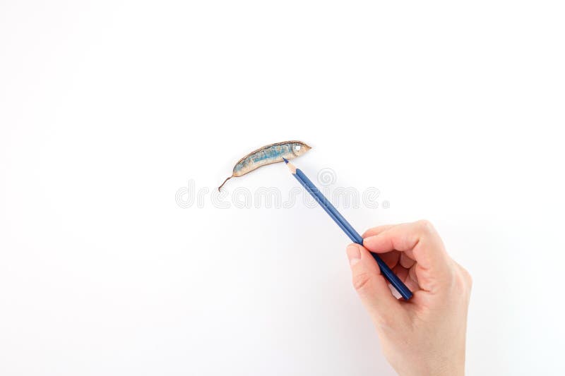 Step in Creative Process, Step by Step Instruction How Made Fish from ...