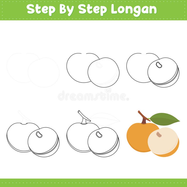 Step by Step Drawing Lime for Kids. Longan Food Drawing Tutorial on How ...