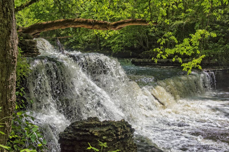 Step Falls at Old Stone State Park in Tennessee Stock Image - Image of ...