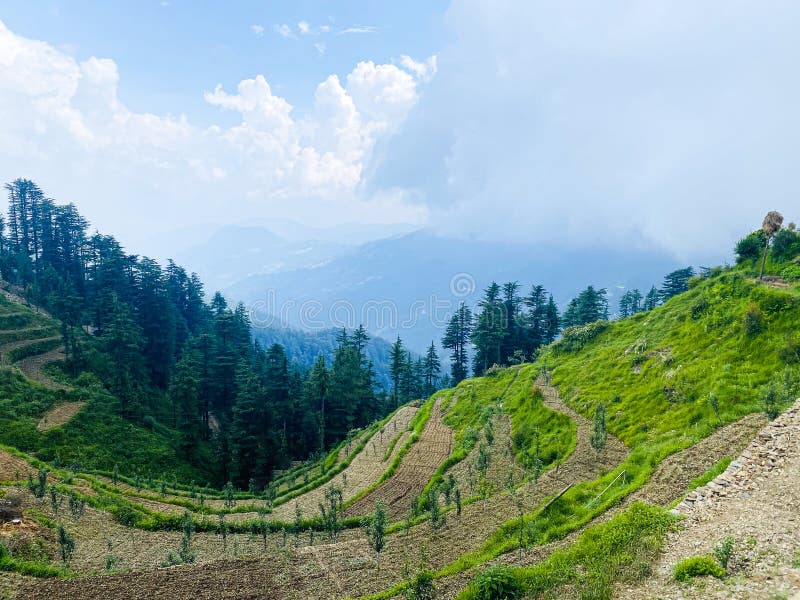 Step Farming in Himachal Pradesh Stock Photo - Image of land, high ...